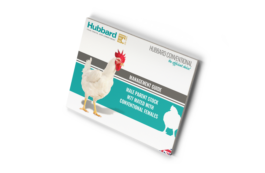 Hubbard - Documentation