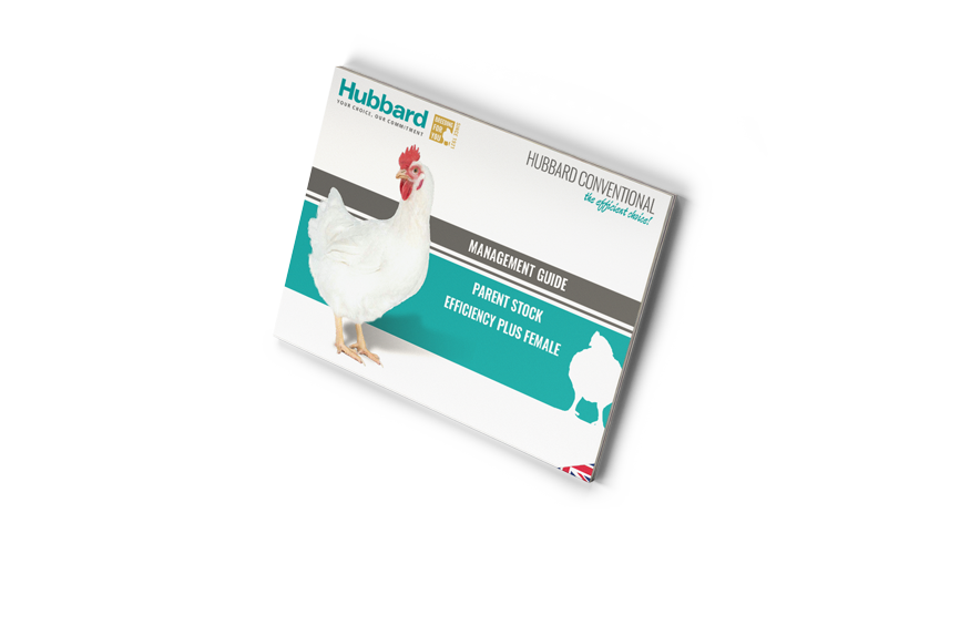 Hubbard - Documentation