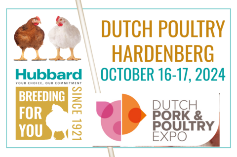 Hubbard - Meet Hubbard